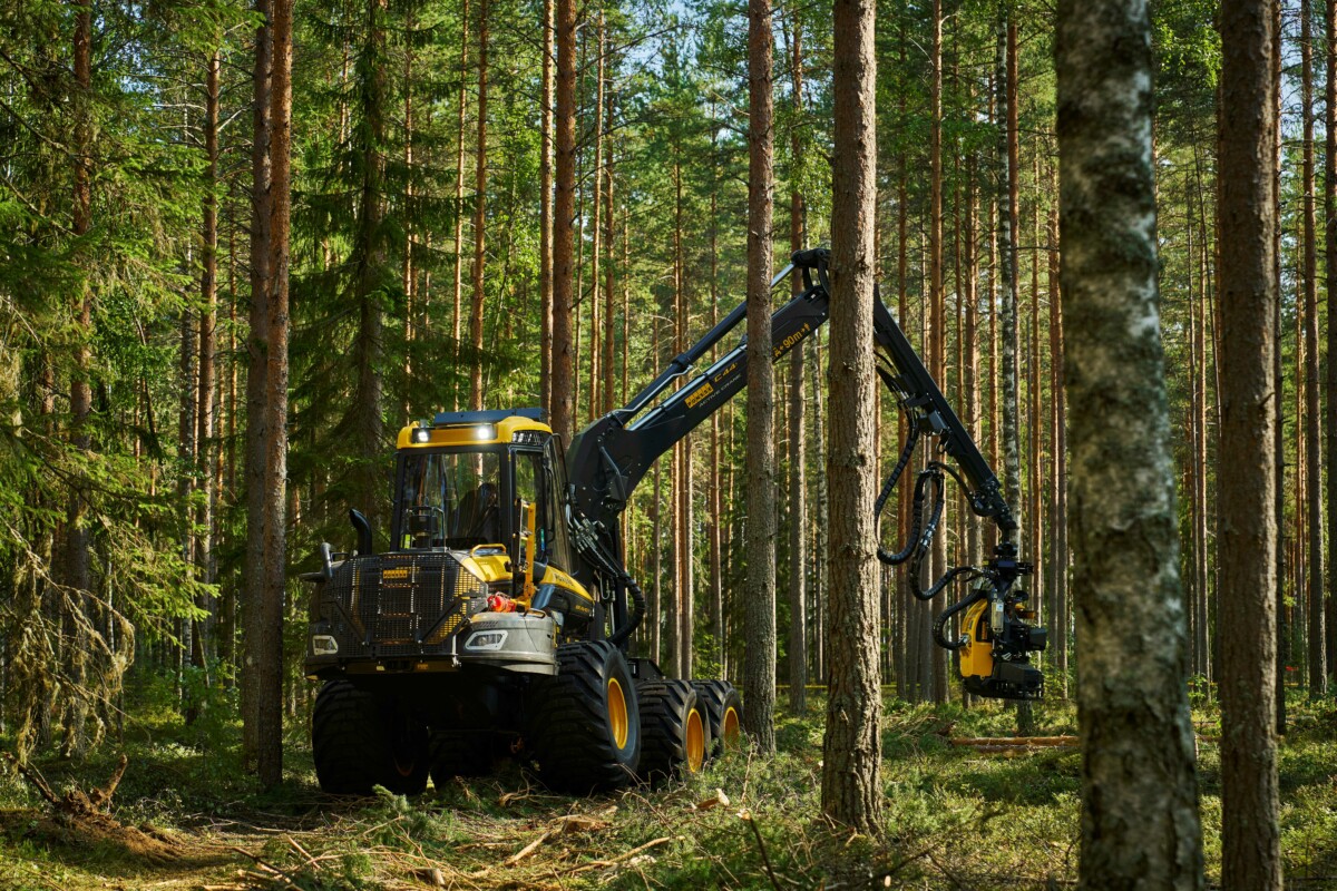 Forest thinning is caring - Ponsse News
